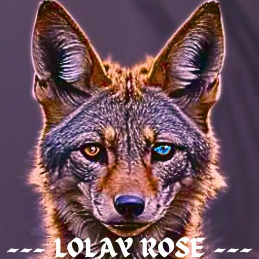 Phantom Jackal, Spectral Guardian, Guide, Spirit Companion, Spiritual ...