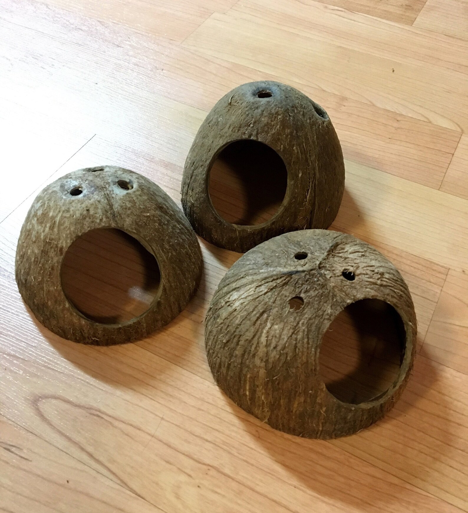 Aquarium Cave Coconut Shell Cave / Hide Pleco Cave Shrimp - Etsy