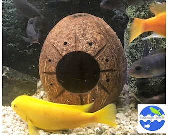 Coconut Aquarium Cave - Etsy