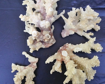 Natural coral | Etsy