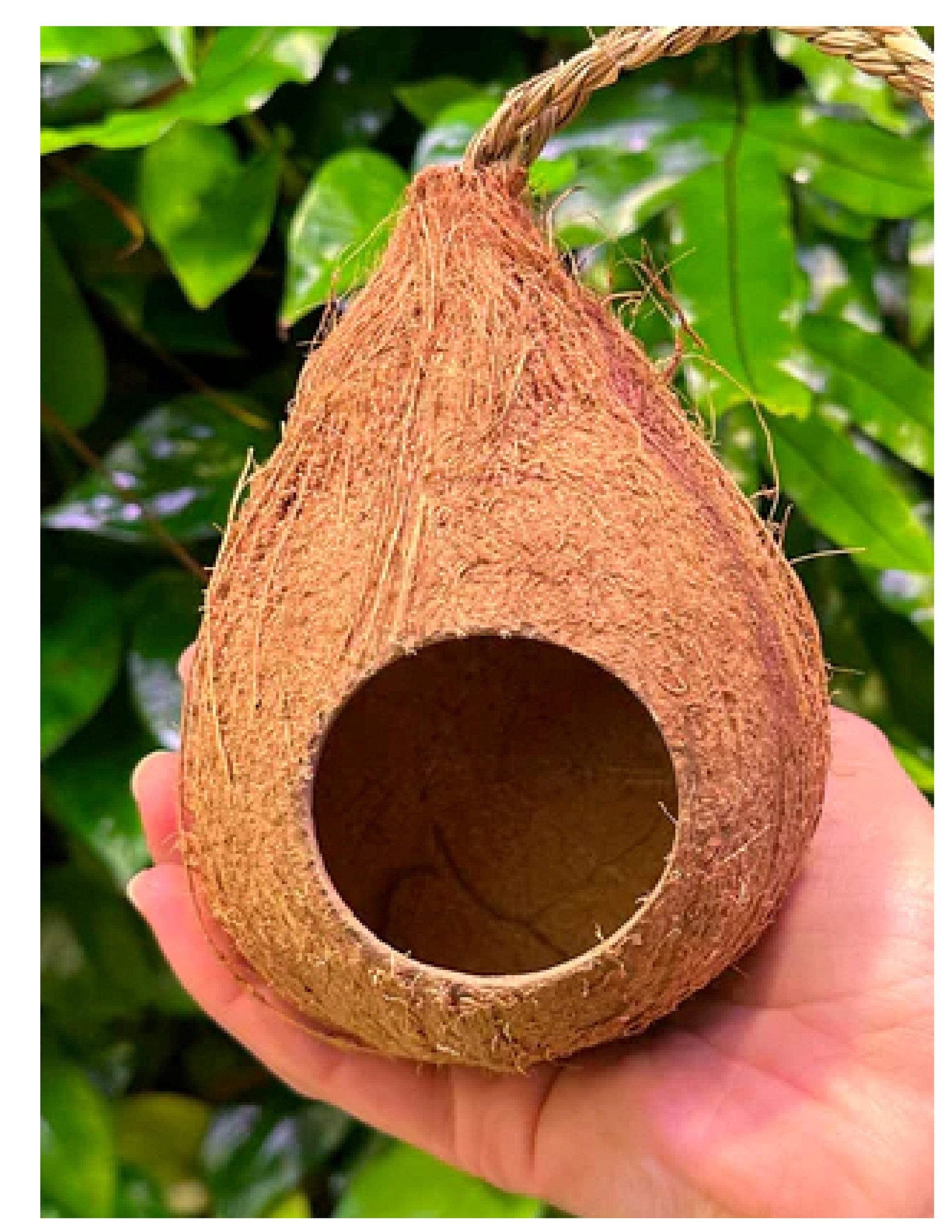 Reptile Decor Reptile Hide Cave, Coconut Shell Small Animal Hideout ...