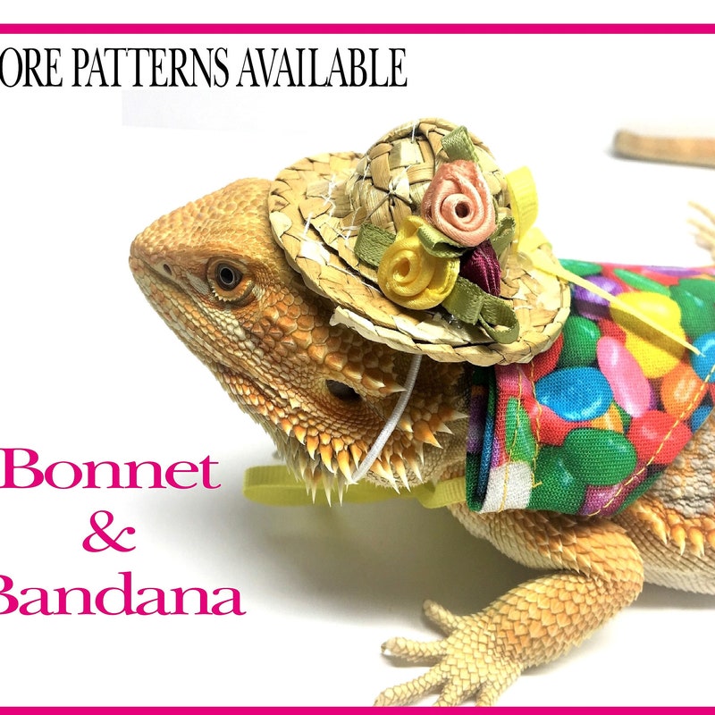 FWAquaticsandReptile - Etsy