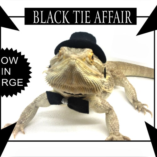 Bearded Dragon Hat and Bow Tie for Adult Bearded Dragon - Etsy