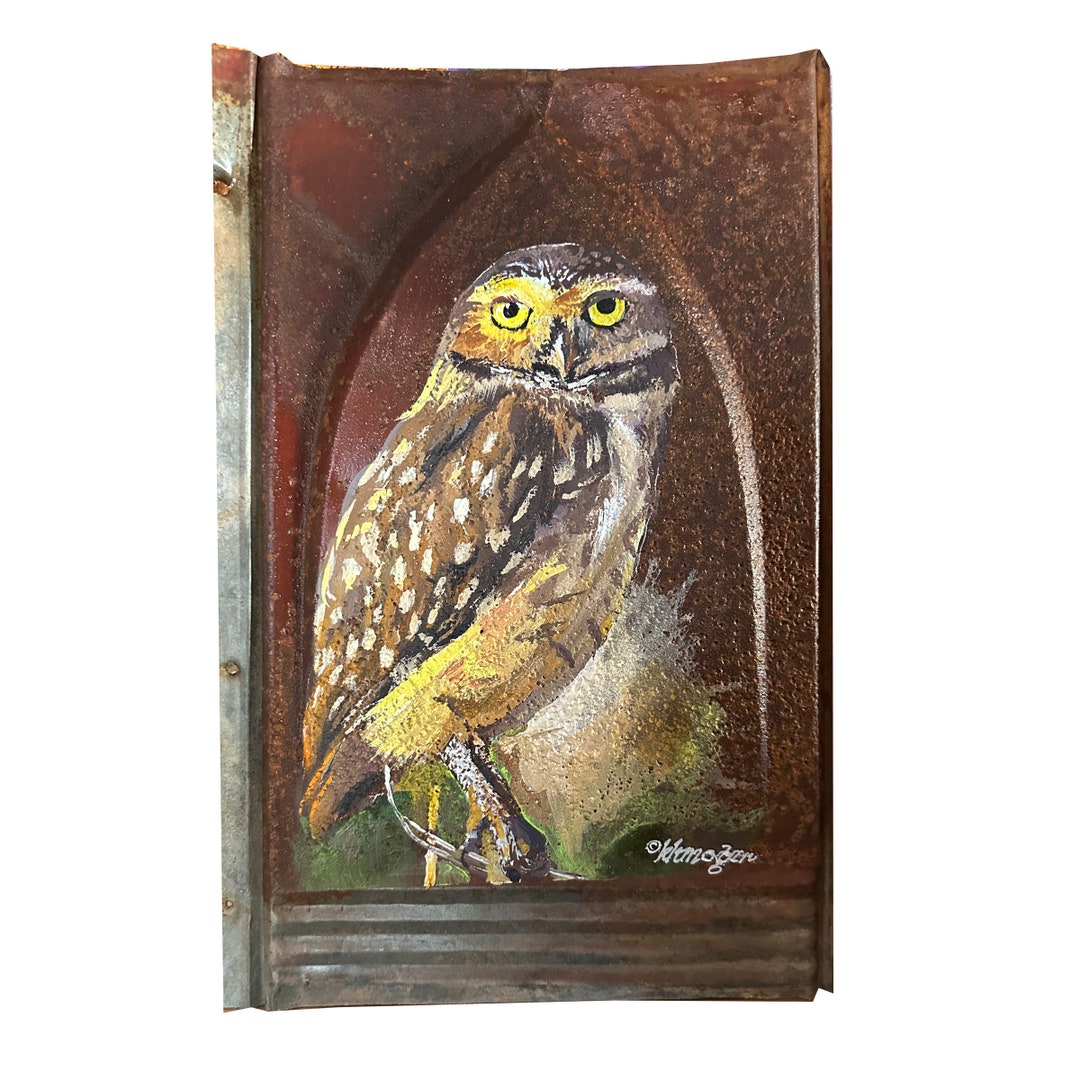 BURROWING OWL Acrylic Painting on Vintage Roofing Tin - Etsy