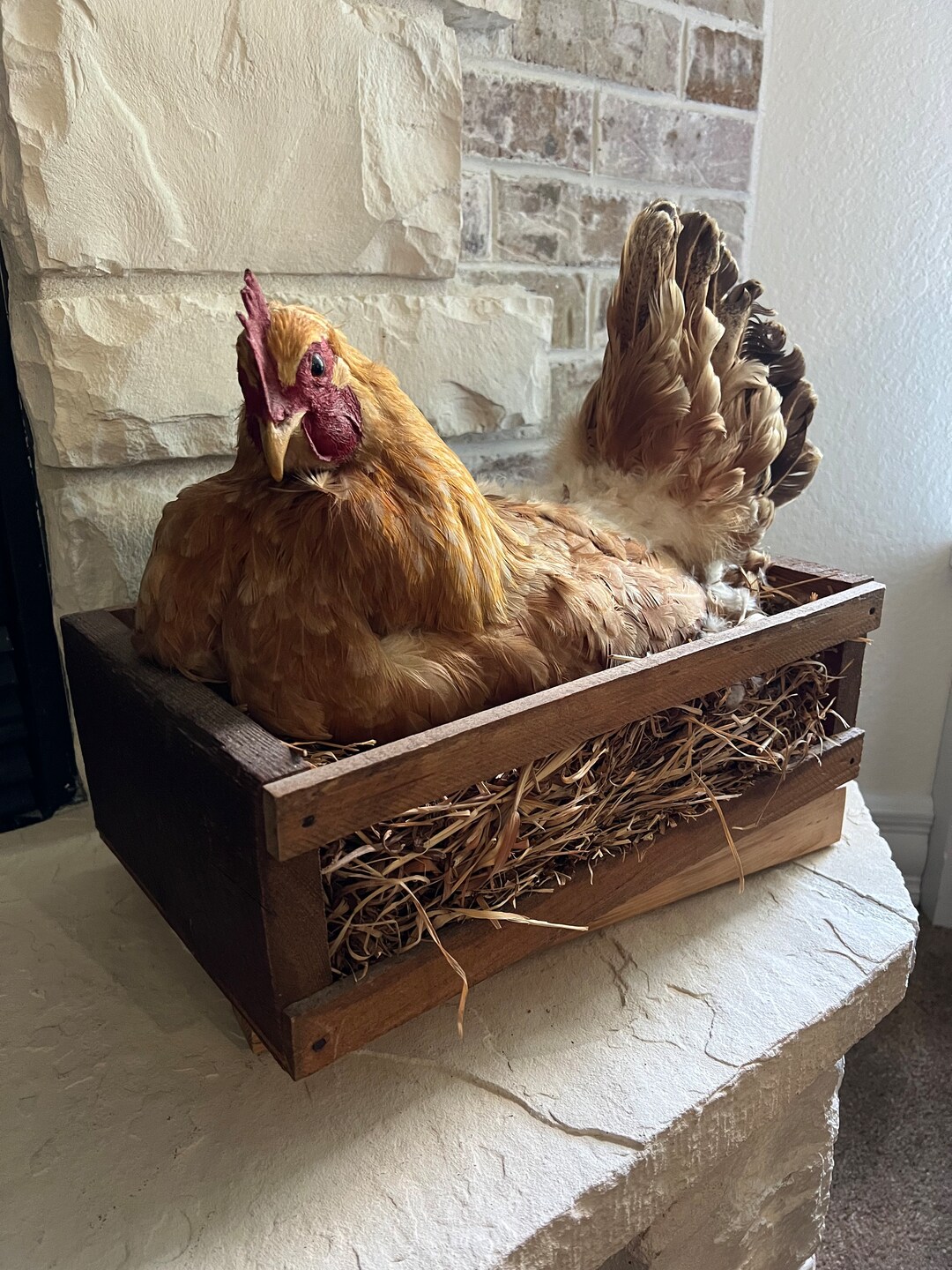 Country Farmhouse Rooster Decor Taxidermy Rooster Unique Home Decor - Etsy