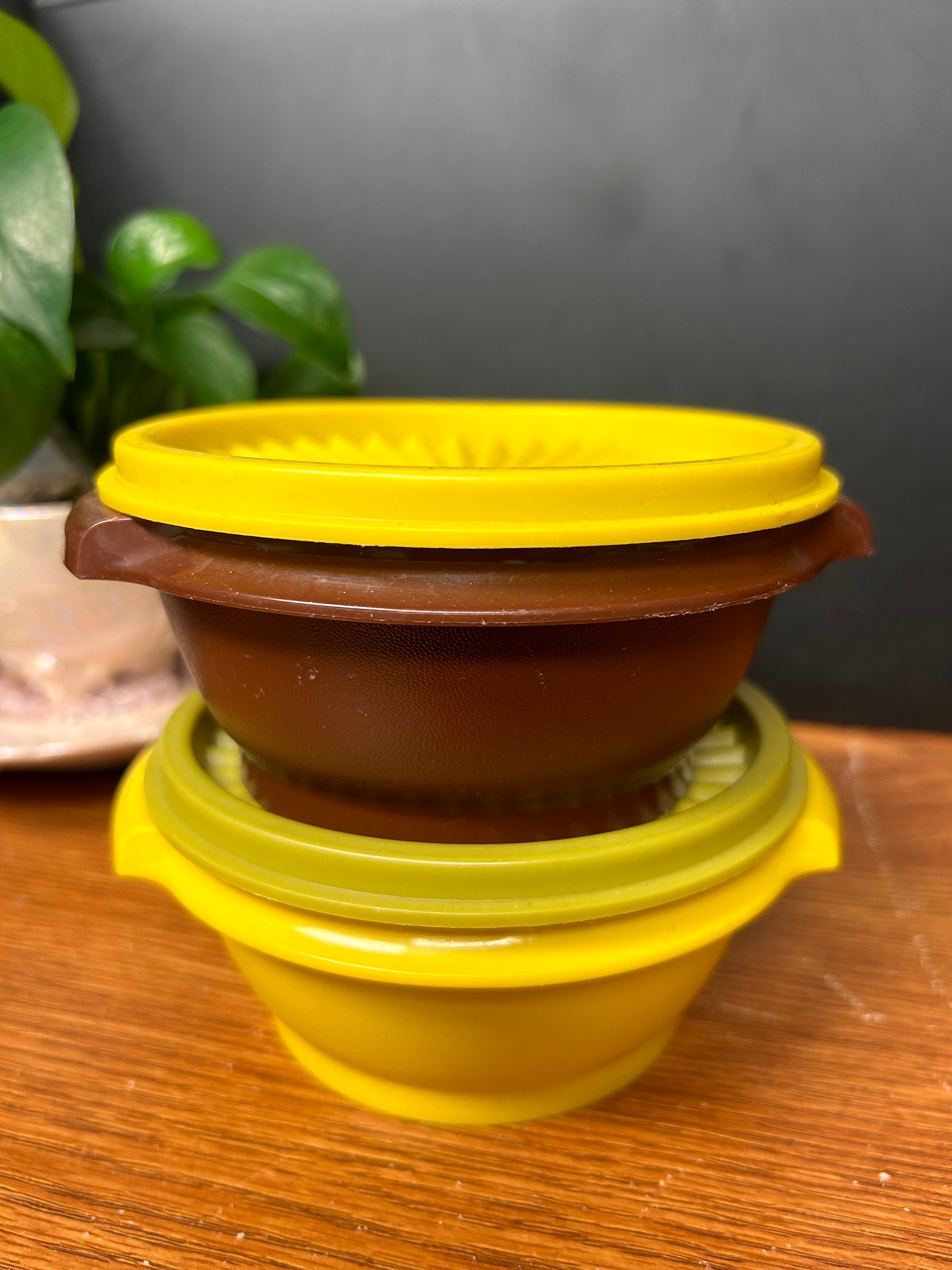 1970s Vintage Tupperware, Vintage Kitchen, Starburst Lids - Etsy