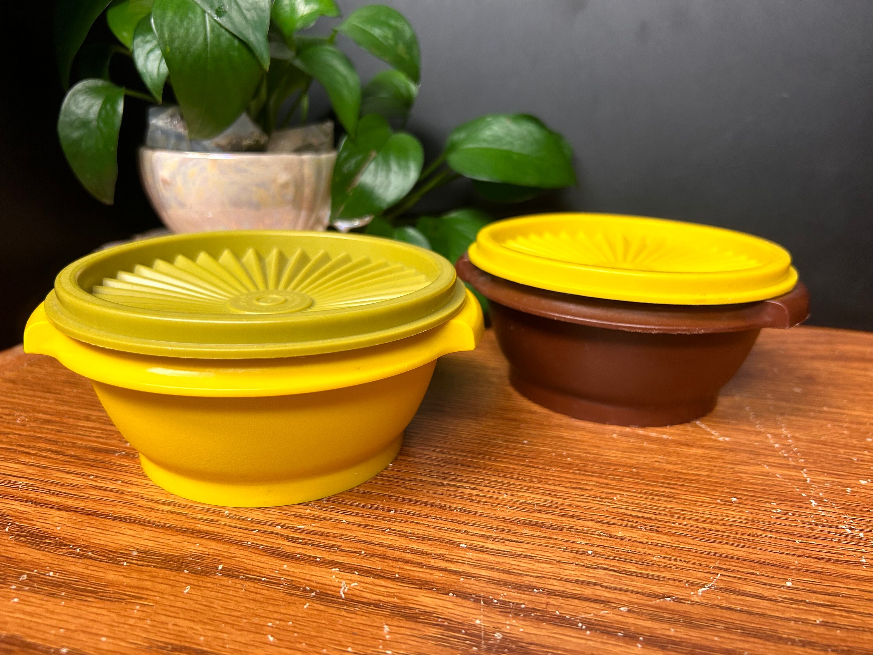 1970s Vintage Tupperware, Vintage Kitchen, Starburst Lids - Etsy