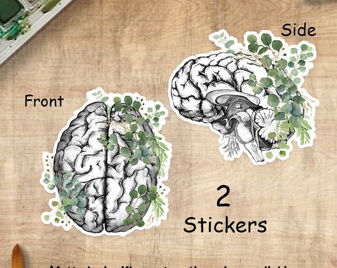 Human Brain Stickers, Anatomy Art, Floral, Plants, Eucalyptus, Stickers ...