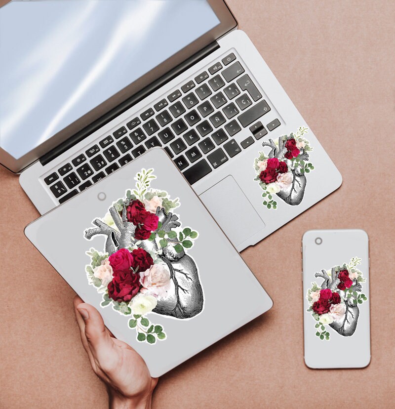Human Anatomy Brain Heart Rosevinyl Stickersscience - Etsy