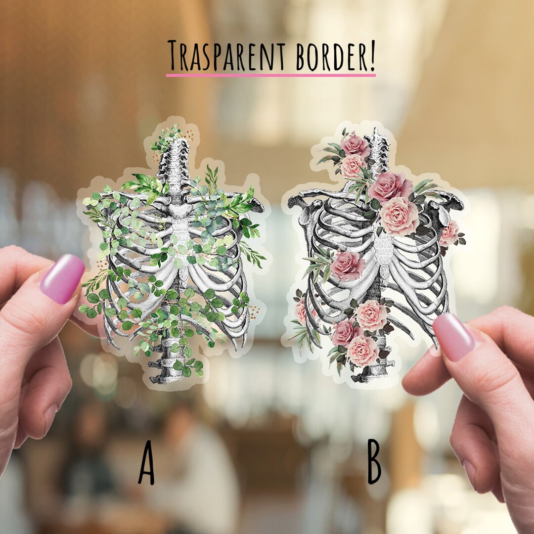 Ribcage Vintage Roses,ribs,stickers,vinyl Stickers, Human Anatomy ...