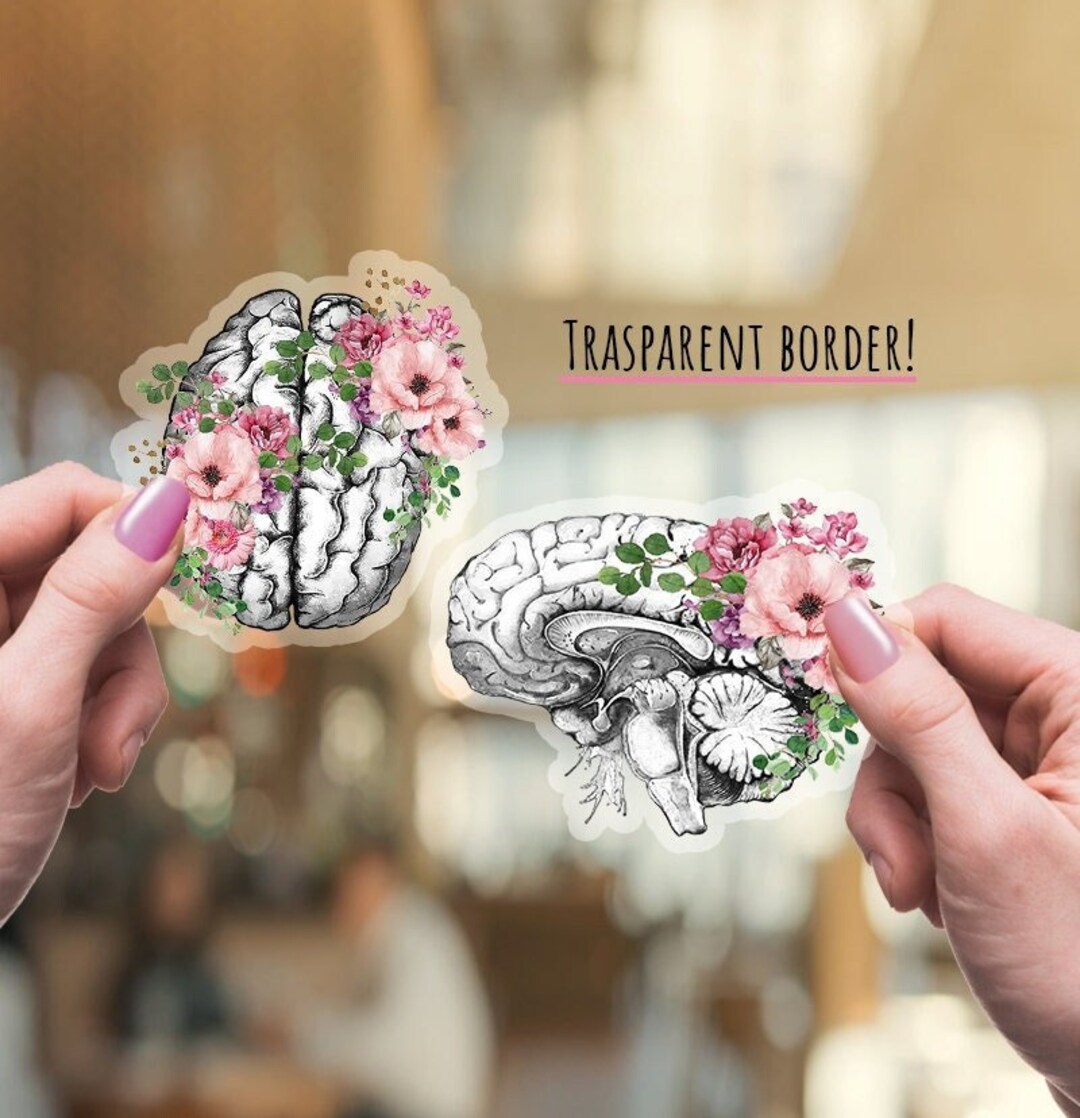 Anatomical Floral Brain Stickers,human Brain, Set 2 Matte Vinyl ...