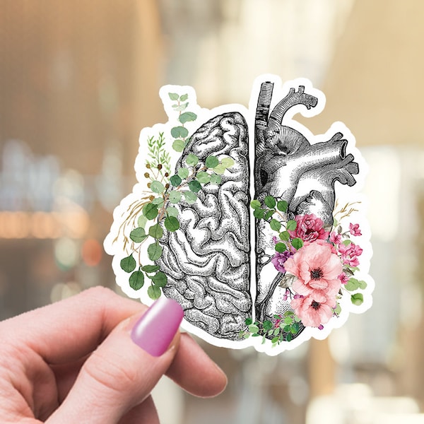 Human Brain Stickers - Etsy