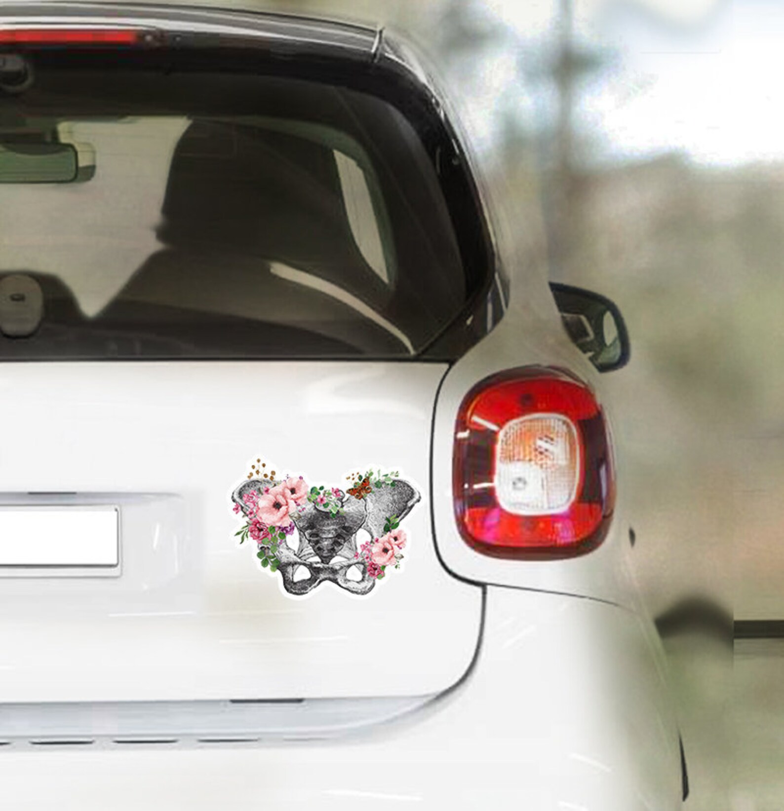 Floral Pelvis Anatomy Vinyl Sticker, Science Student Gift - Etsy
