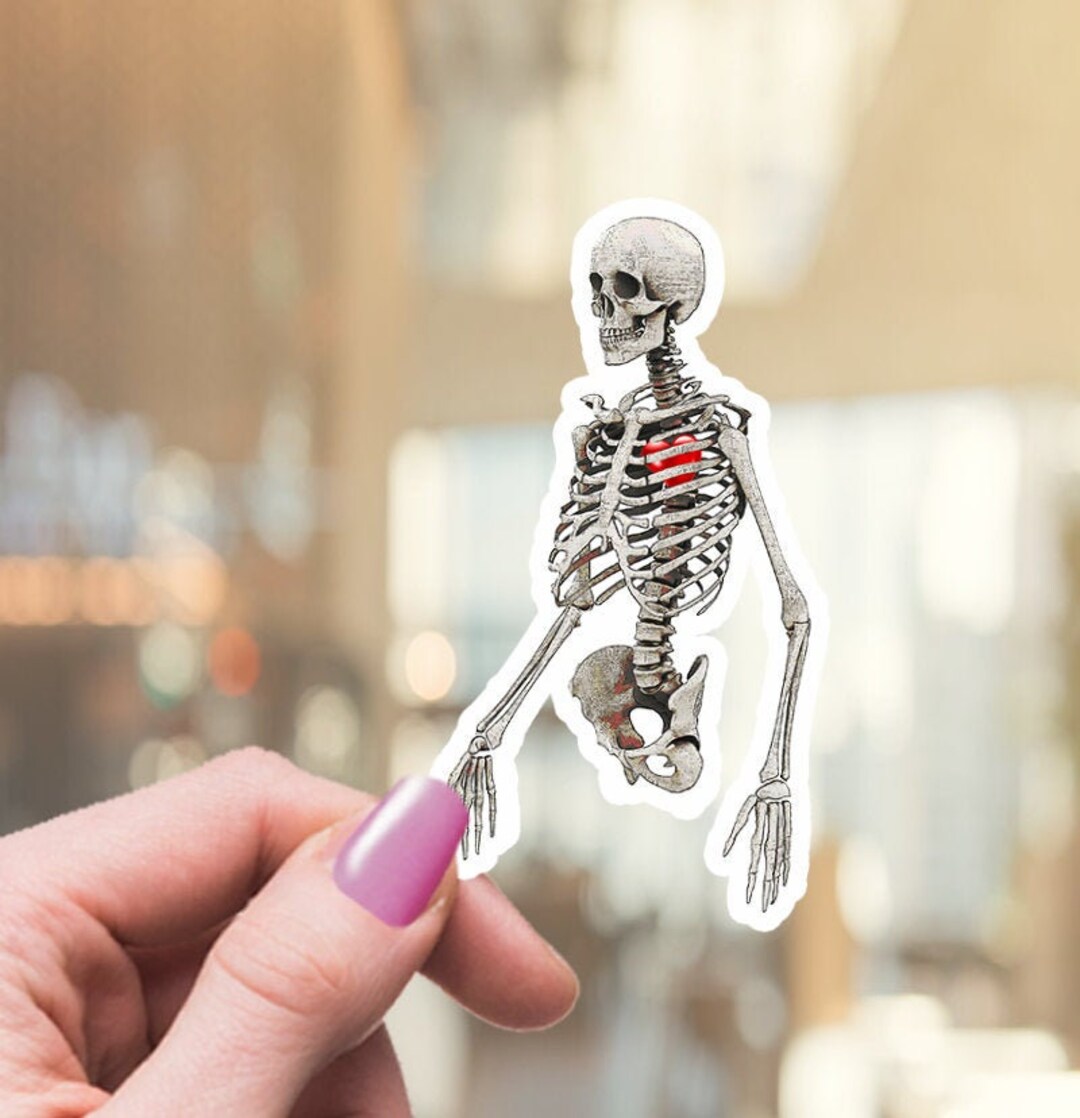 Human Ribs And Heart