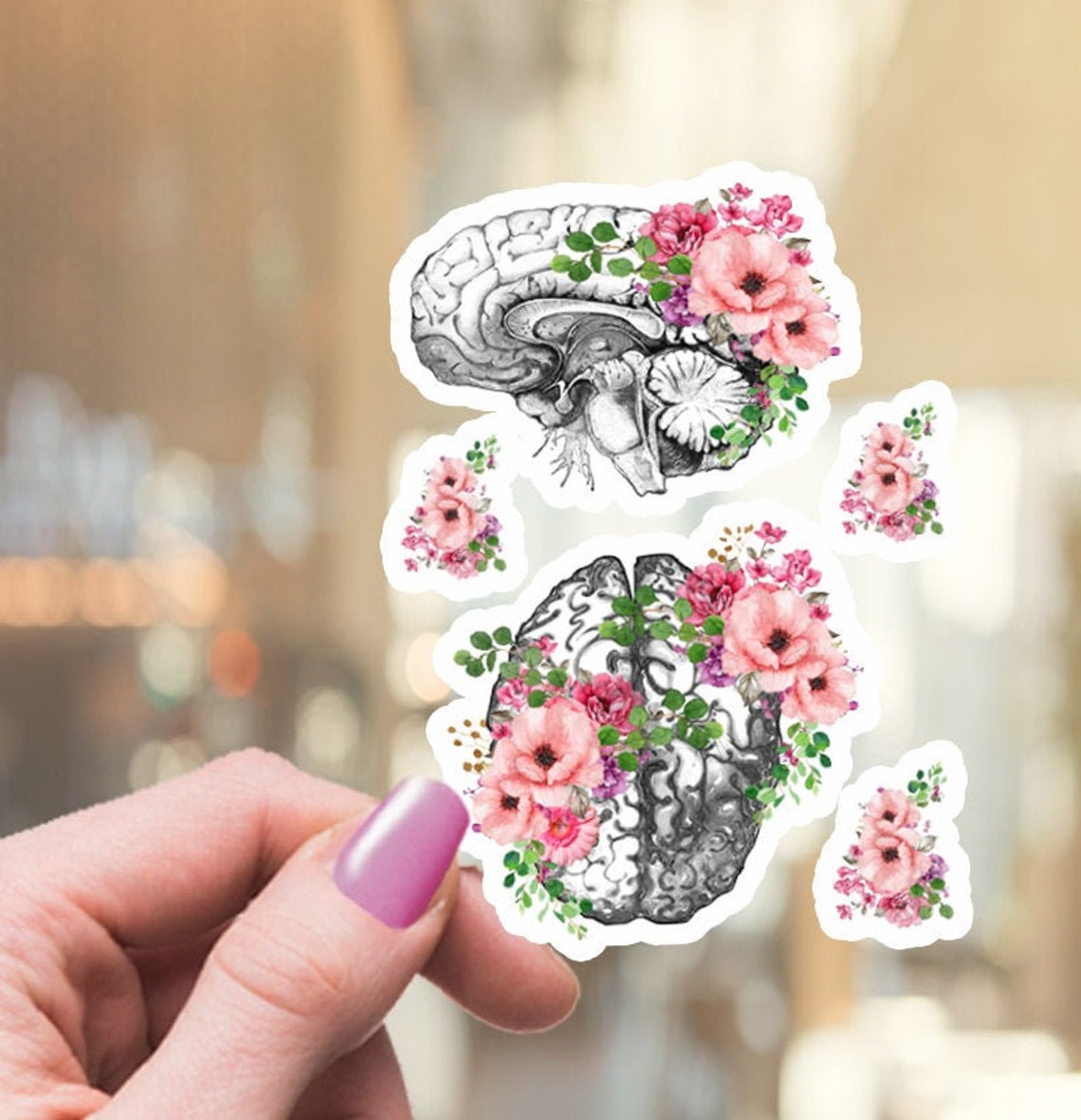 Anatomical floral Brain StickersHuman Brainvinyl | Etsy