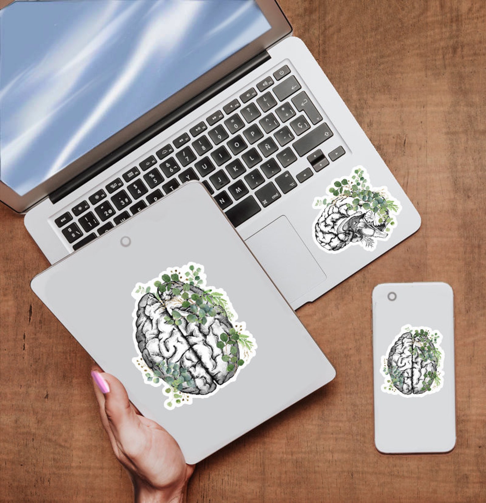 Human Brain Stickers, Anatomy Art, Floral, Plants, Eucalyptus, Stickers ...