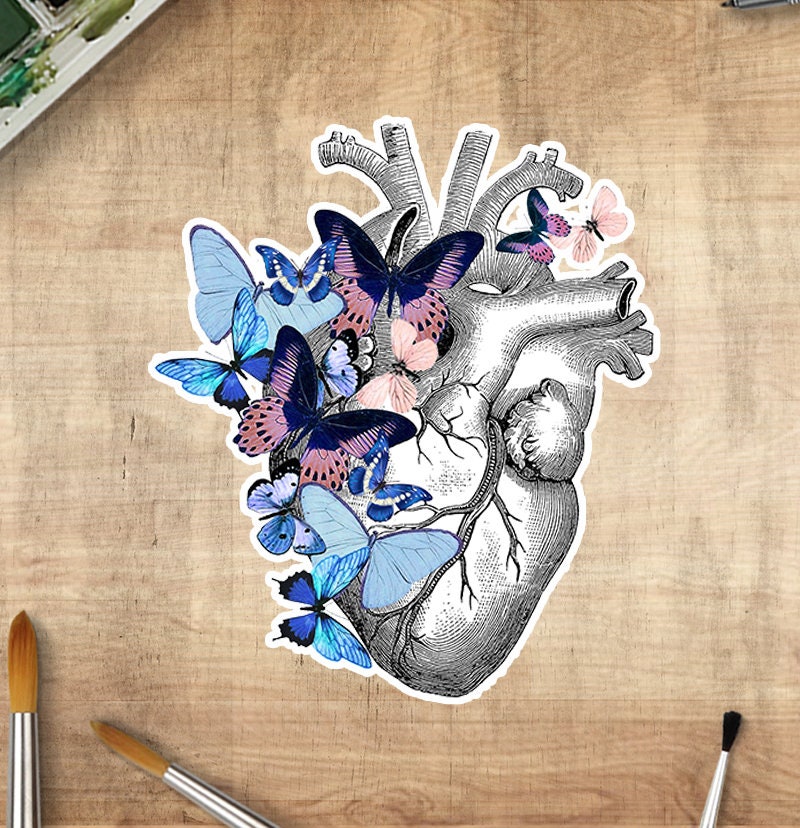 Anatomical Heart Vinyl Sticker, Blue Butterflies, Watercolor Art - Etsy