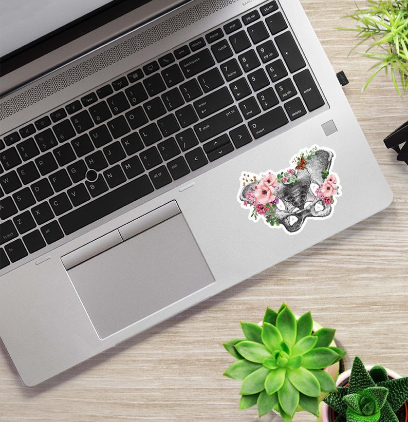 Floral Pelvis Anatomy Vinyl Sticker, Science Student Gift - Etsy