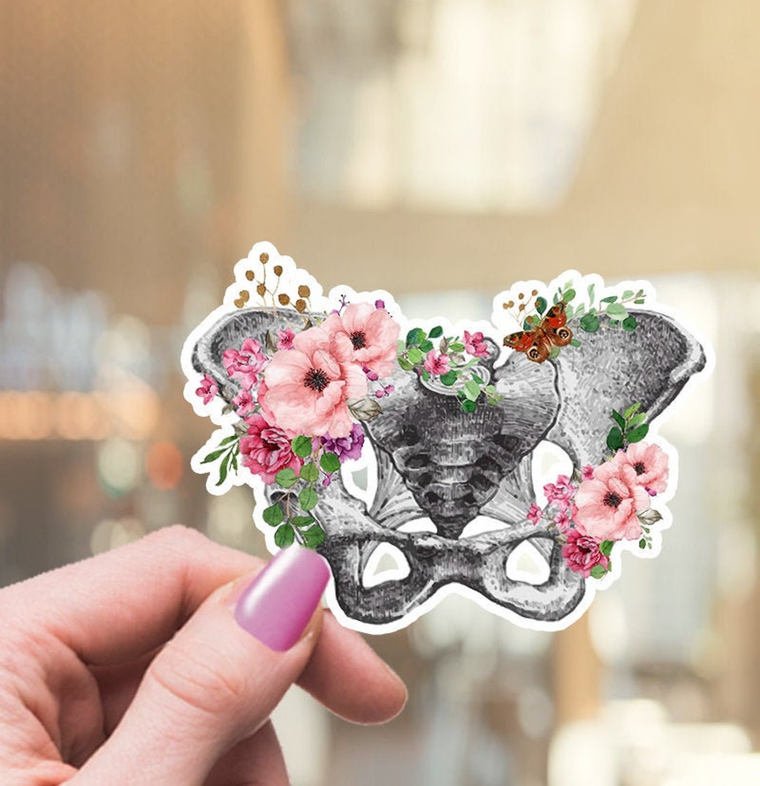 Human Anatomy Pelvis Art Pink Roses Stickersvinyl - Etsy