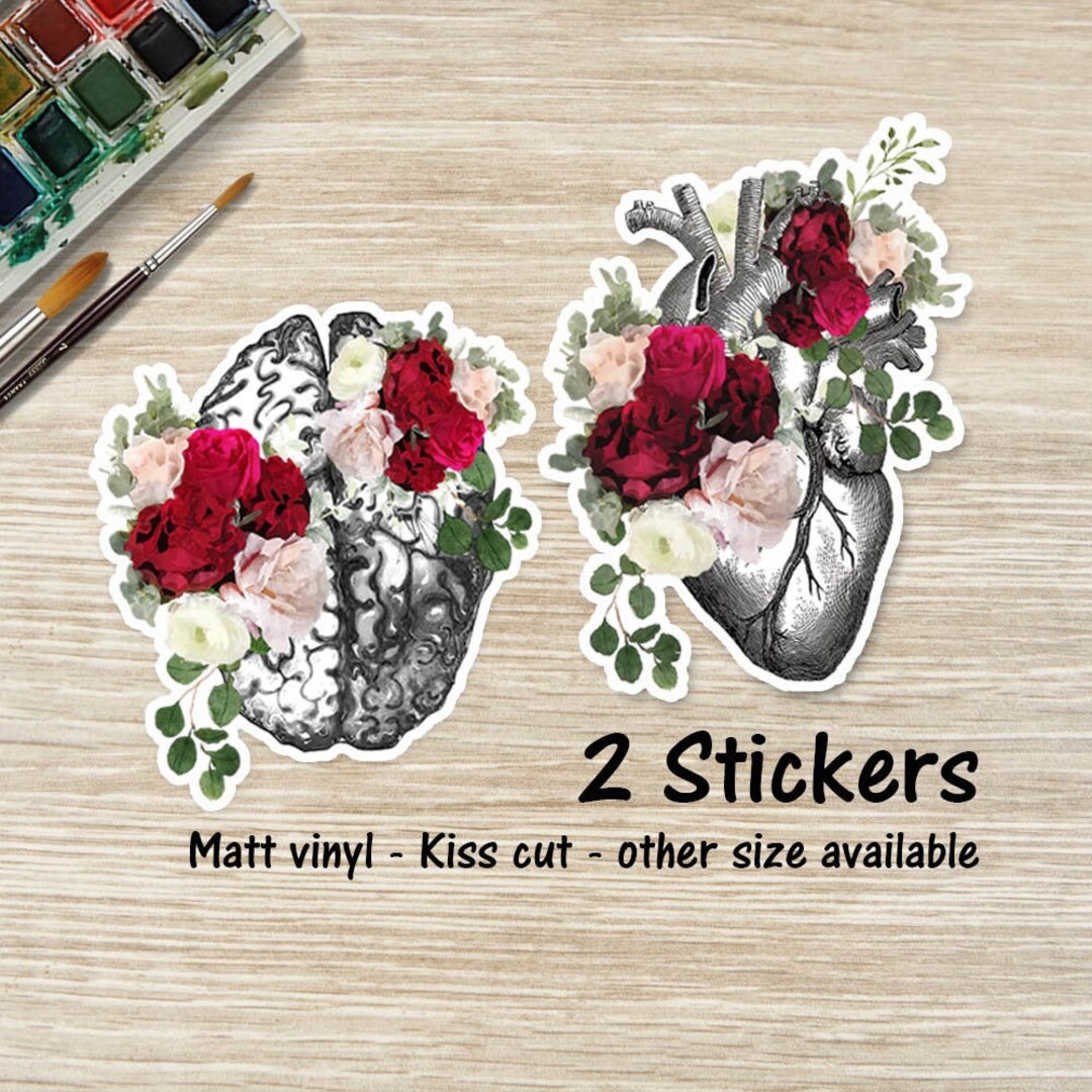 Human Anatomy Brain Heart Rose,vinyl Stickers,science Stickers, Scienze ...