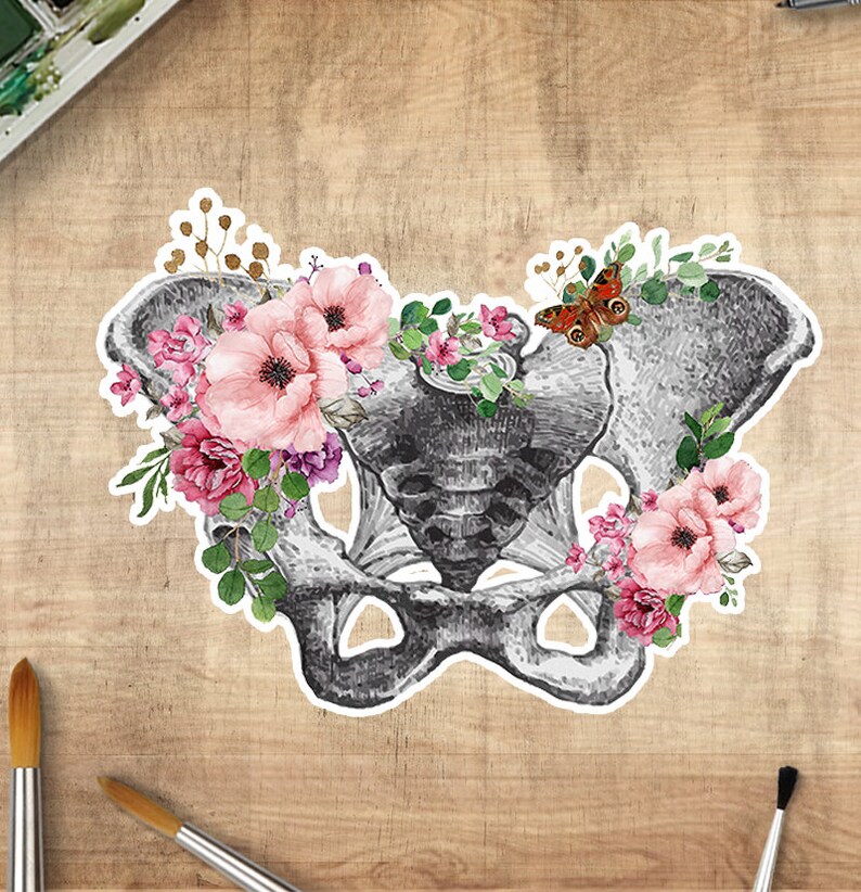 Human Anatomy Pelvis Art Pink Roses Stickersvinyl | Etsy
