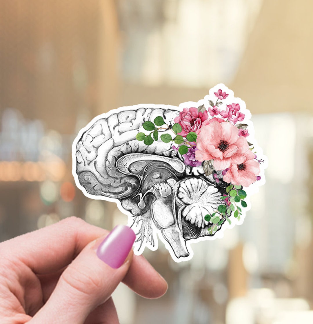 Human Brain Stickers, Anatomy Flowers Stickers,vinyl Stickers,science ...