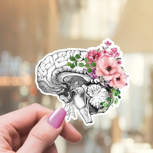 Human Brain Stickers, Anatomy Flowers Stickers,vinyl Stickers,science ...