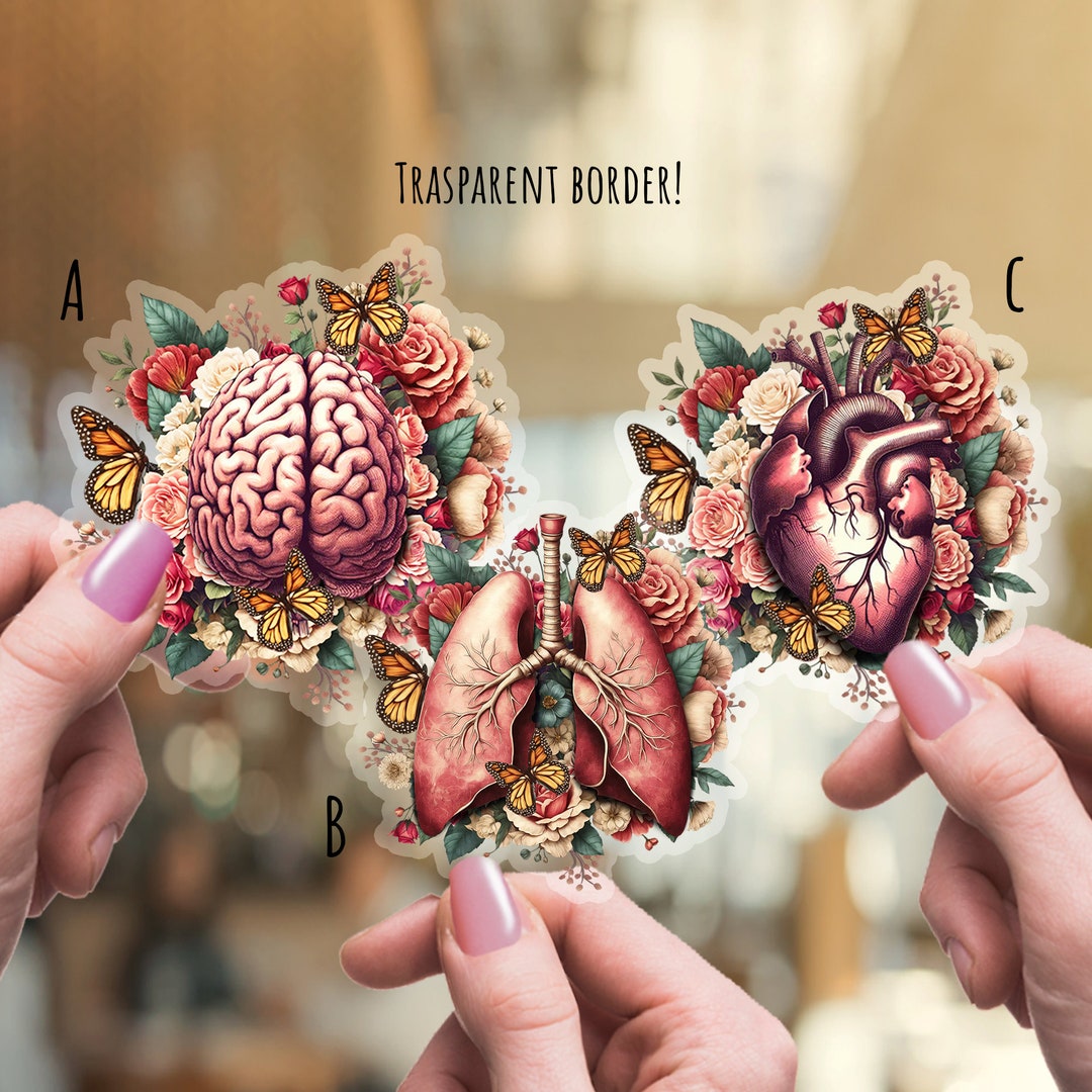 Lung Stickers, Brain Stickers, Human Heart Stickers, Human Organs ...