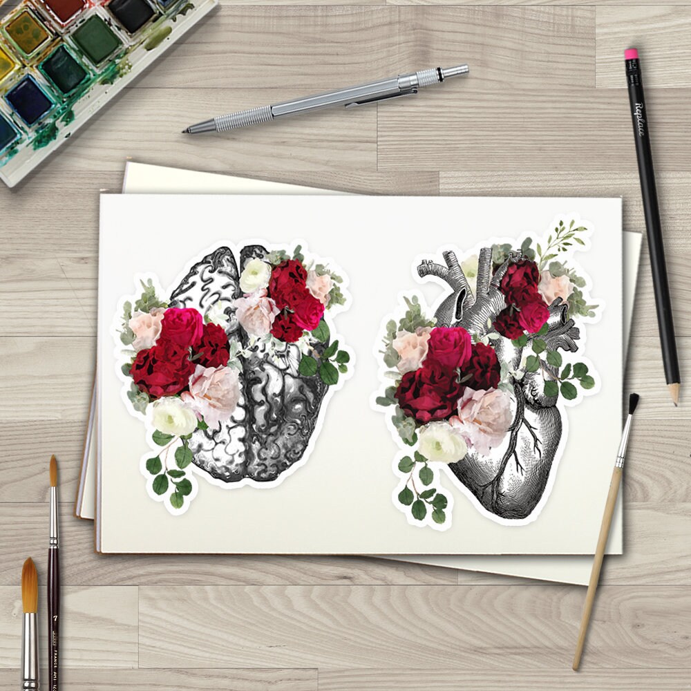 Human Anatomy Brain Heart Rosevinyl Stickersscience - Etsy