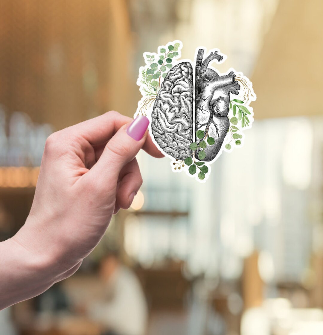 Head and Heart,human Anatomy Brain and Heart,vinyl Stickers,science ...