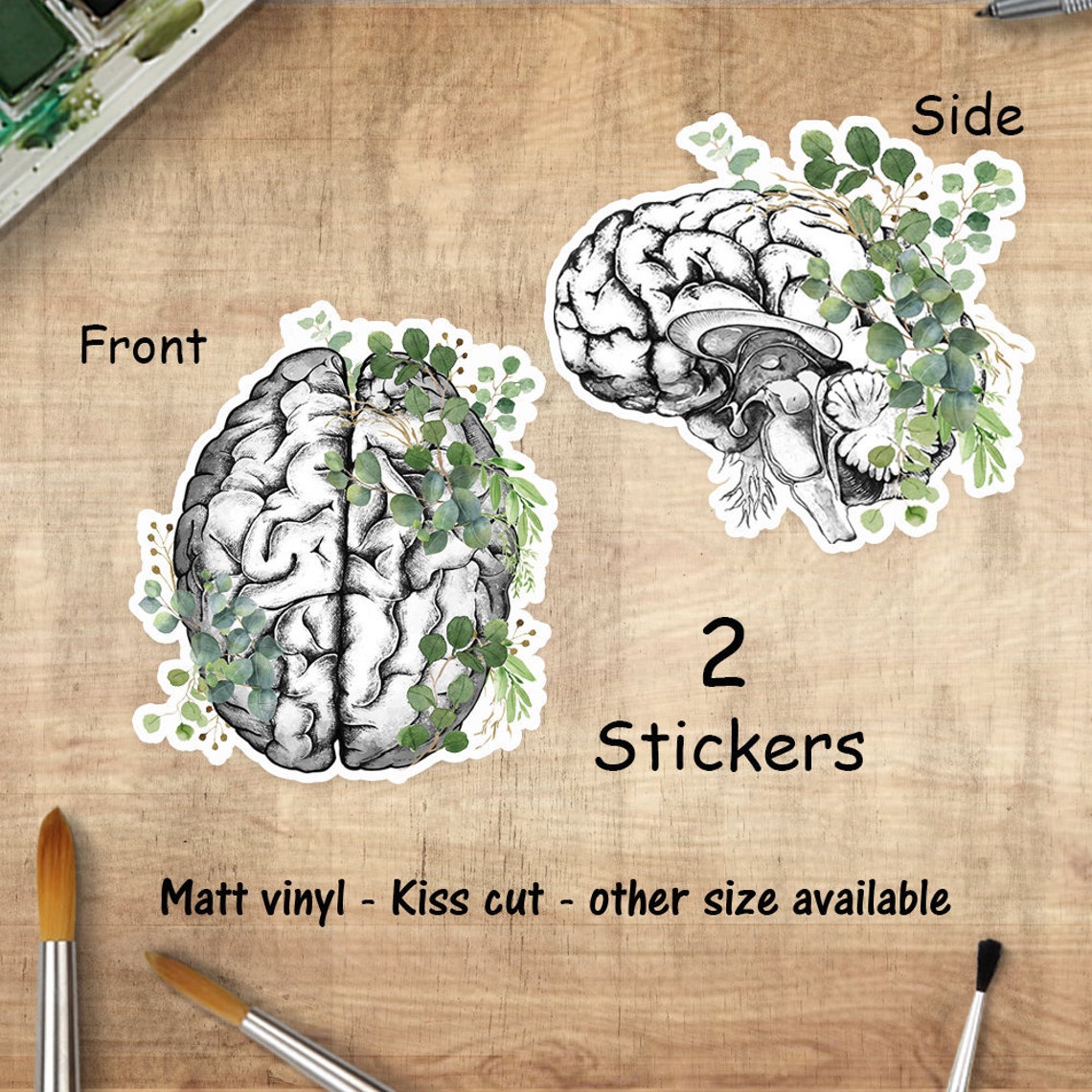 Human Brain Stickers Anatomy Art Floral Plants Eucalyptus - Etsy