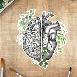 Head and Heart,human Anatomy Brain and Heart,vinyl Stickers,science ...