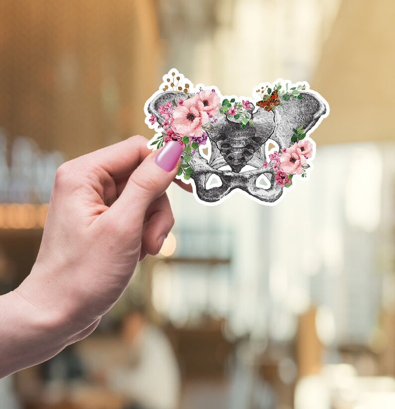Floral Pelvis Anatomy Vinyl Sticker, Science Student Gift - Etsy