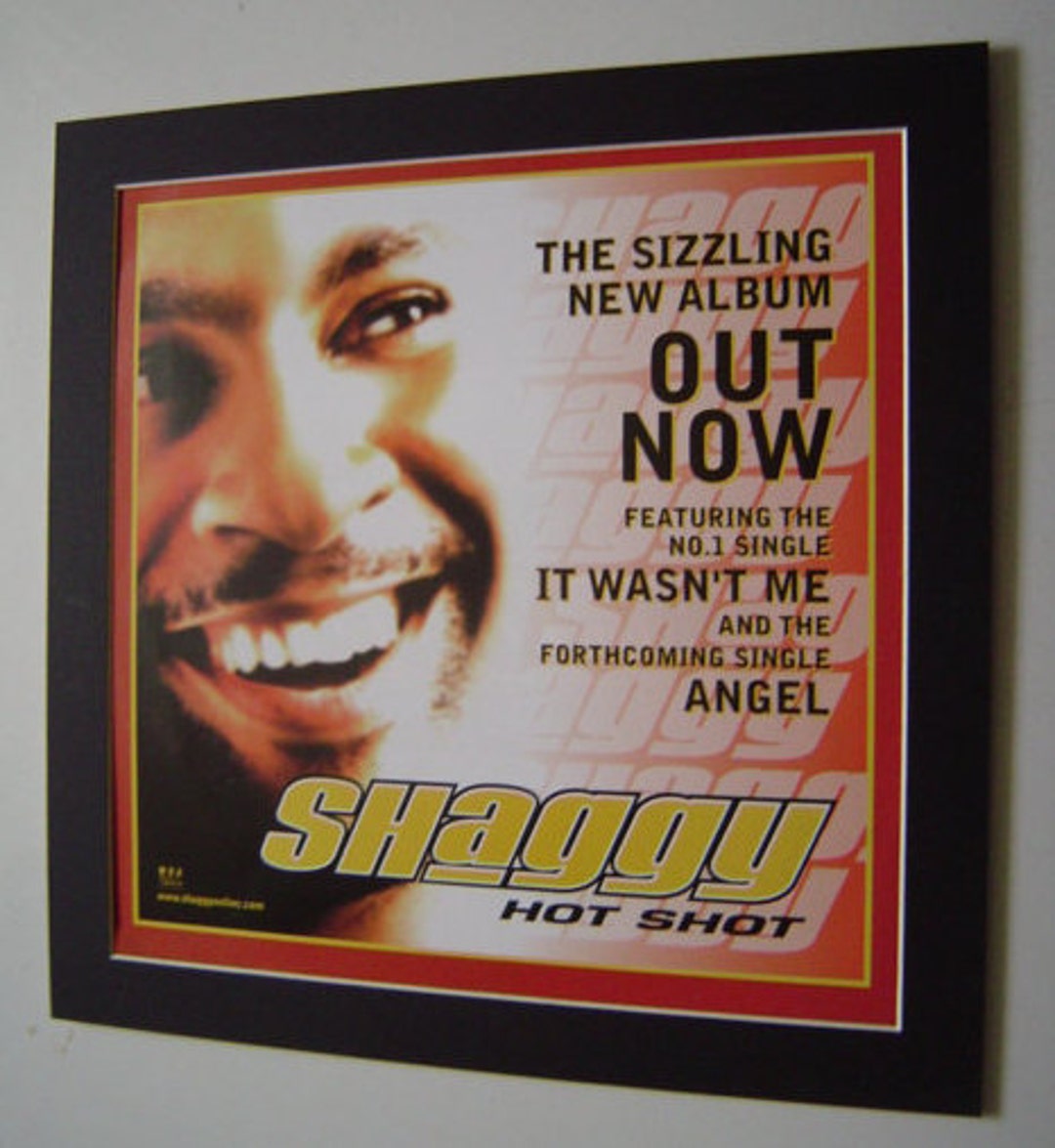 Shaggy Hot Shot Poster in A Custom Made Mount Ready to Frame - Etsy