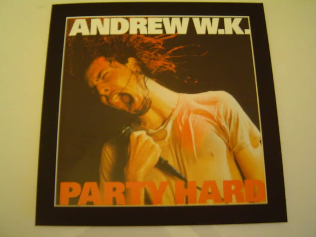 Andrew W.K. Party Hard Original Poster in A Custom Made Mount Ready to ...