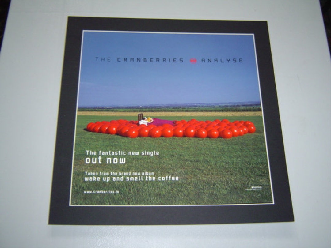 Cranberries Analyse Poster in A Custom Made Mount Ready to - Etsy