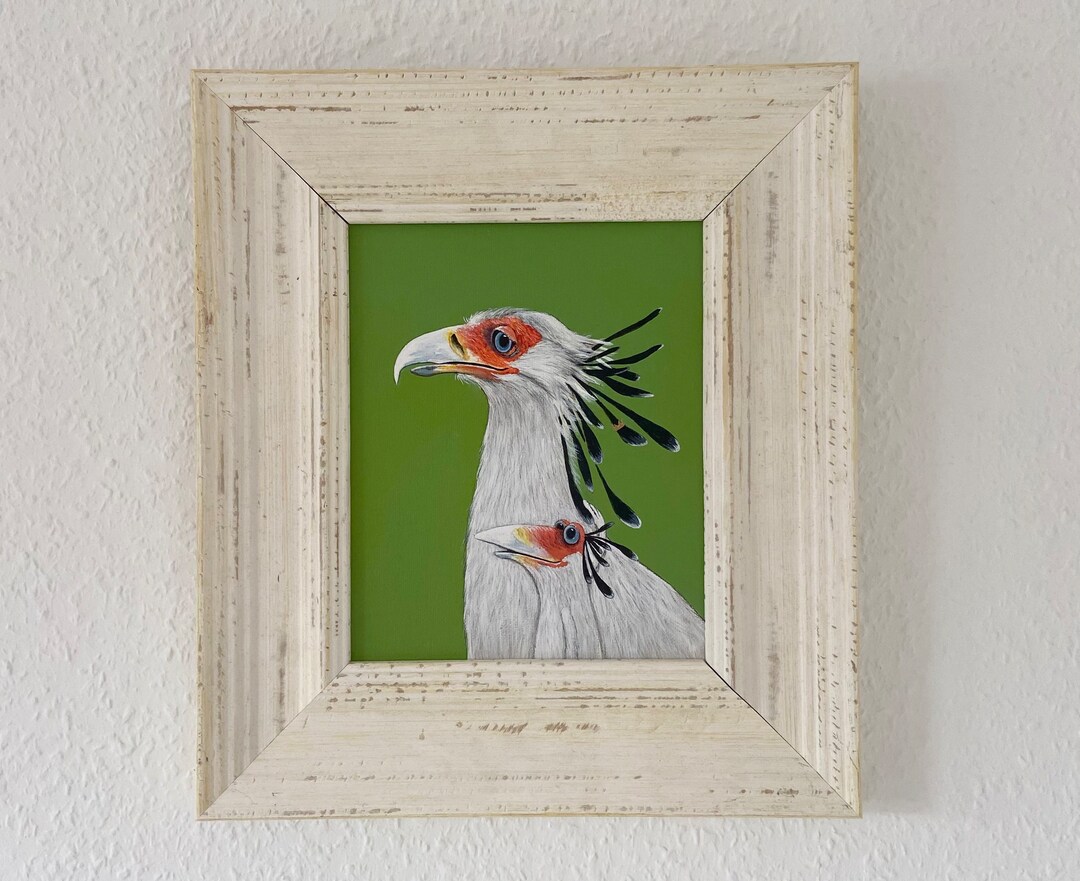 Secretary Frog, Bird Picture, Exotic Bird, Frog Prince, Frog Picture ...