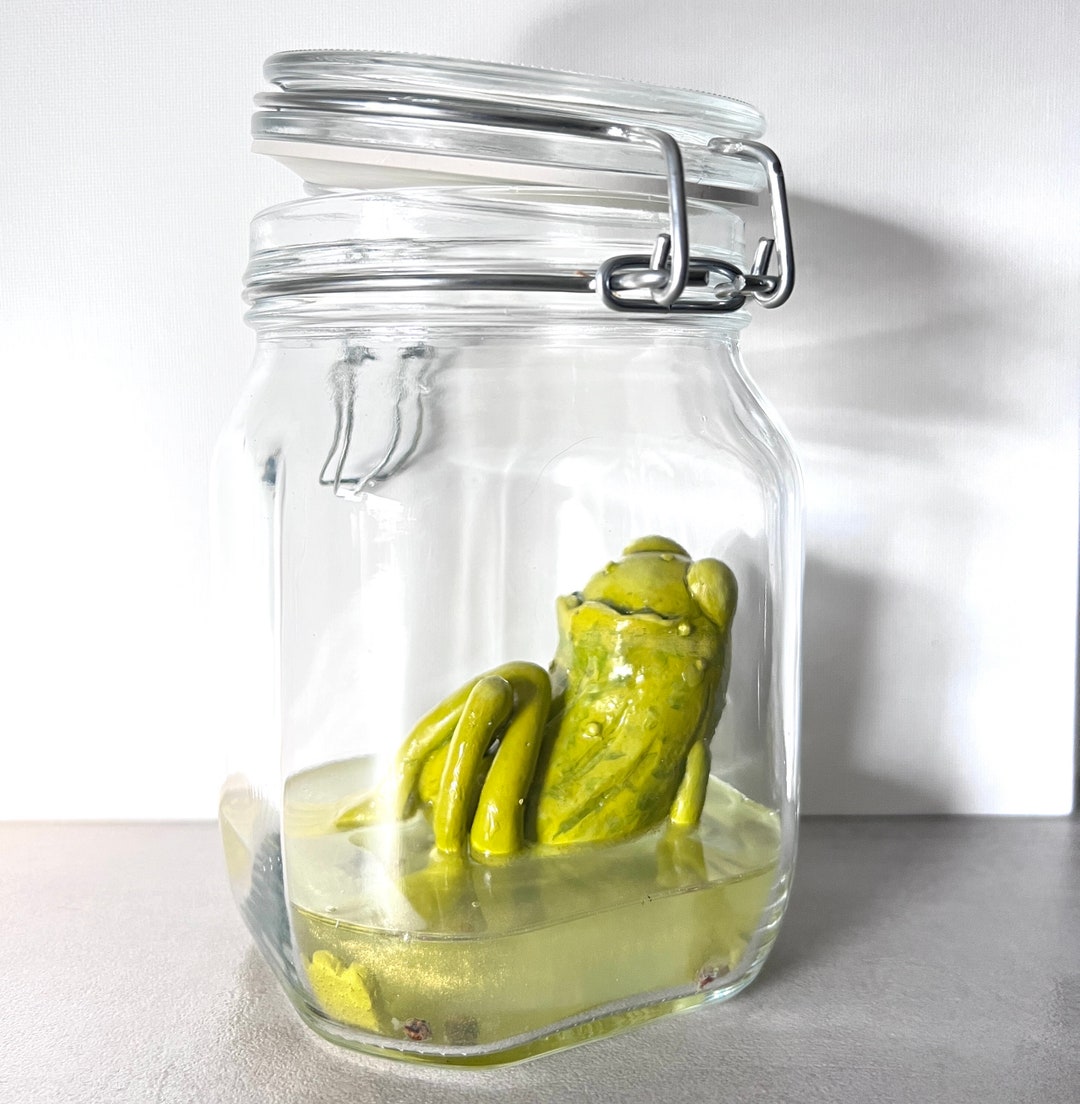 The Spreewald Frog, Pickles, Pickles, Frog Sculpture, Frog in a Glass ...