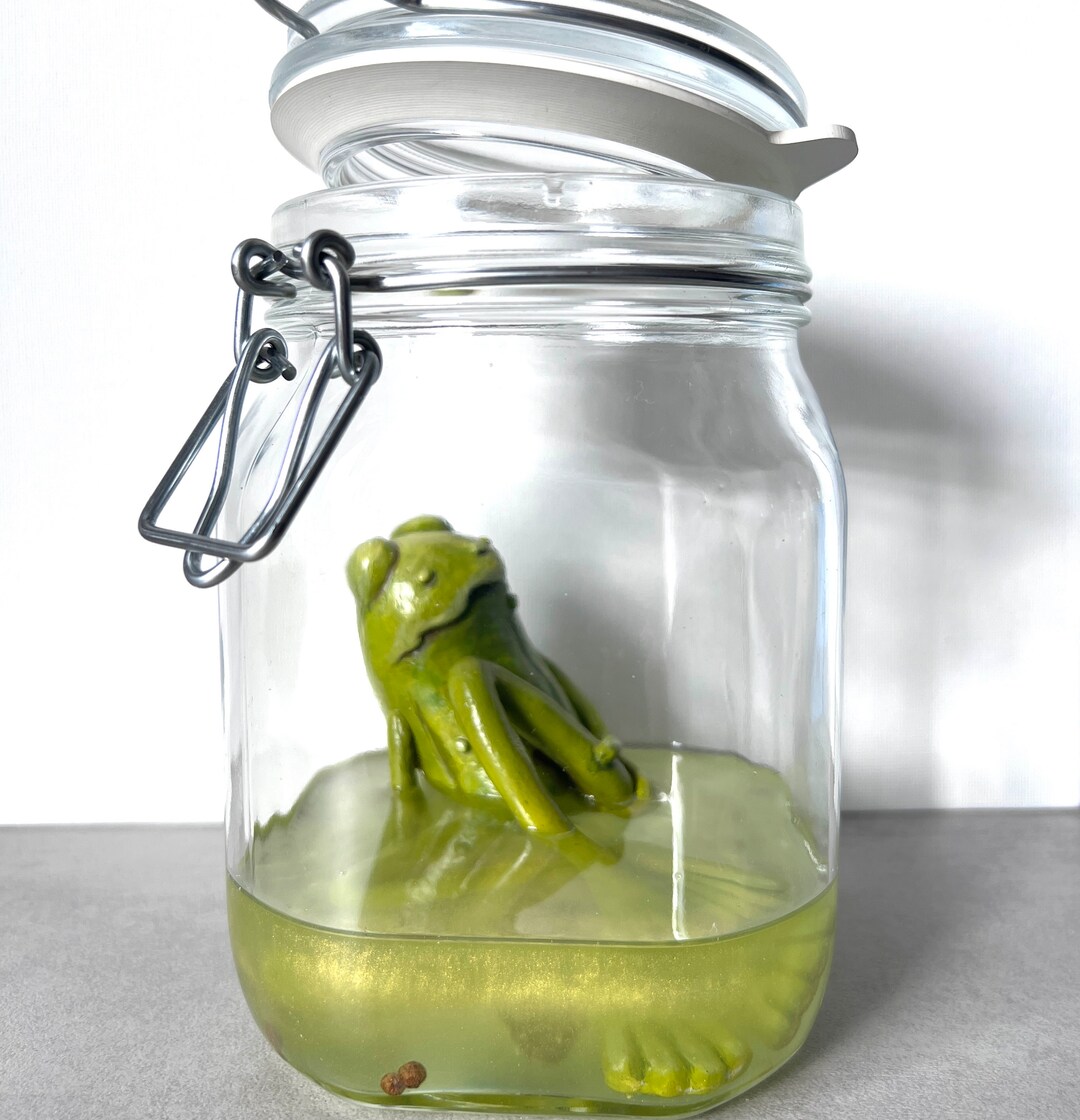 The Spreewald Frog, Pickles, Sour Cucumbers, Frog Sculpture, Frog in a ...