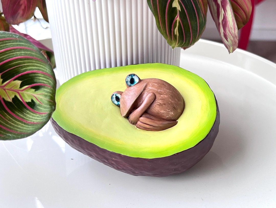 The Avocado Frog, Please Open Avocados Carefully, Funny Frog Figure ...
