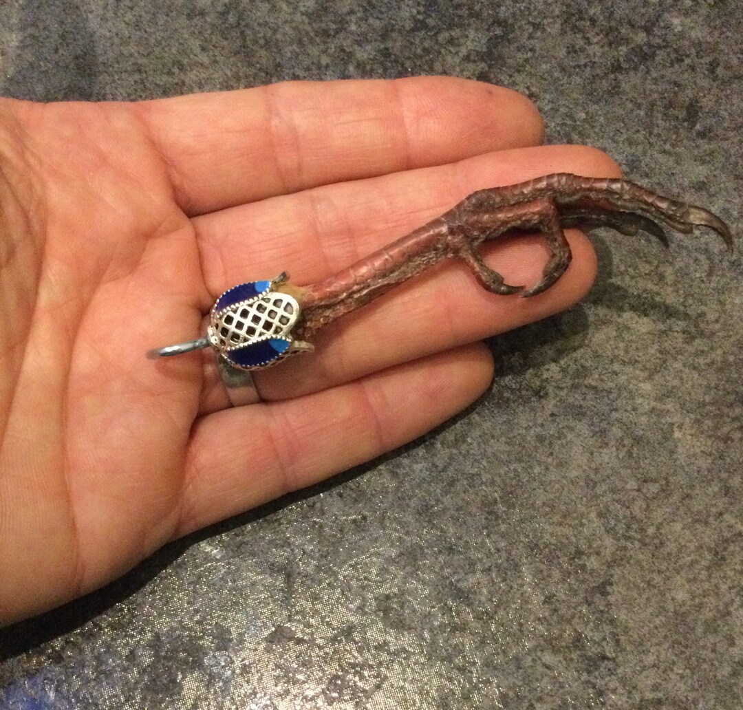 Mummified Red Legged Partridge Foot, Bird Claw Talisman, Pagan Amulet ...