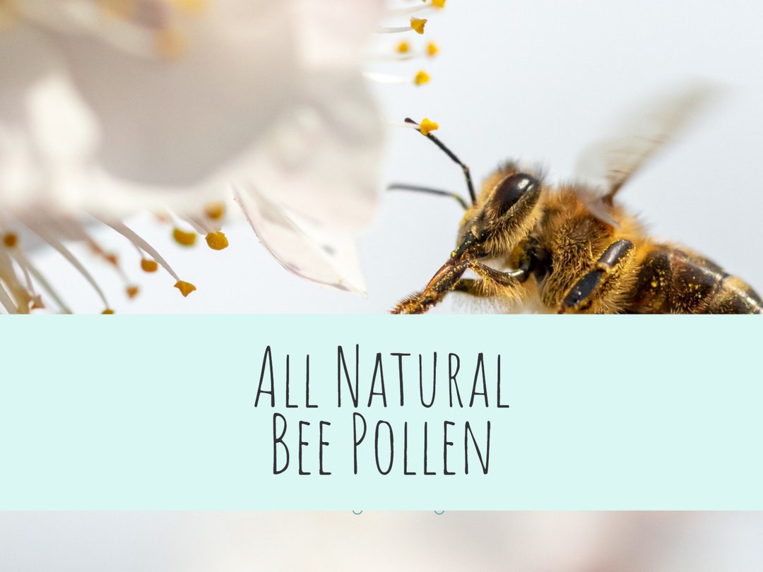 The Birds and the Bees - All Natural Bee Pollen Shaker Jar: Herbs for ...