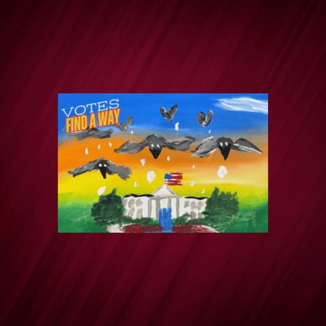 Birds Pooping on White House Funny Postcard Votes Find a Way 4x6 ...