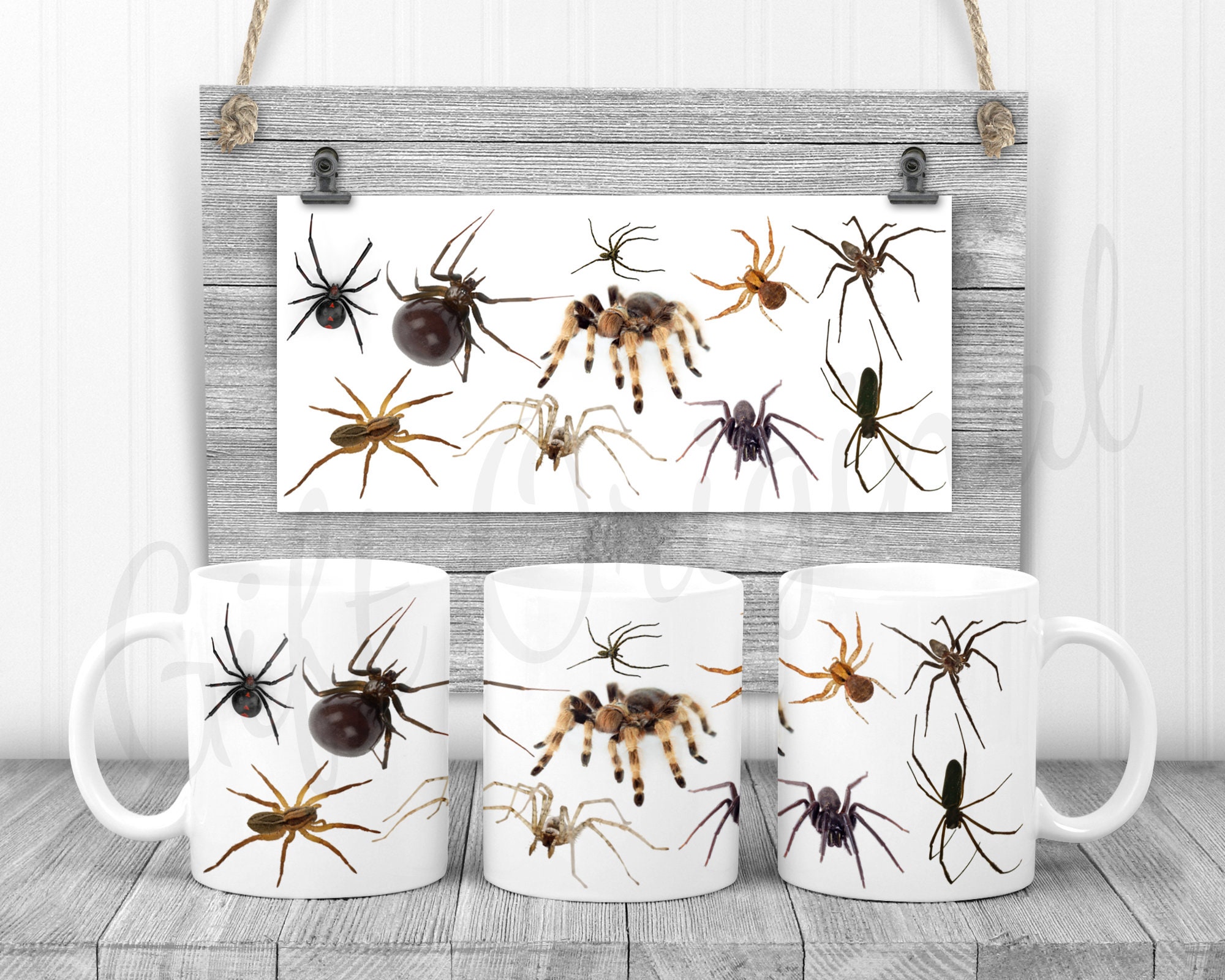 Cup of Spiders 11oz Mug Template PNG Full Wrap Design for Sublimation ...