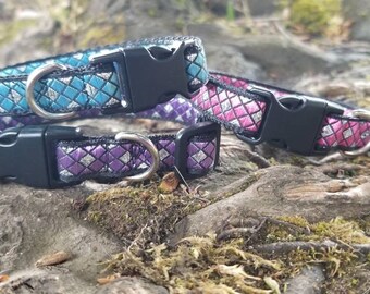 Unique dog collar | Etsy