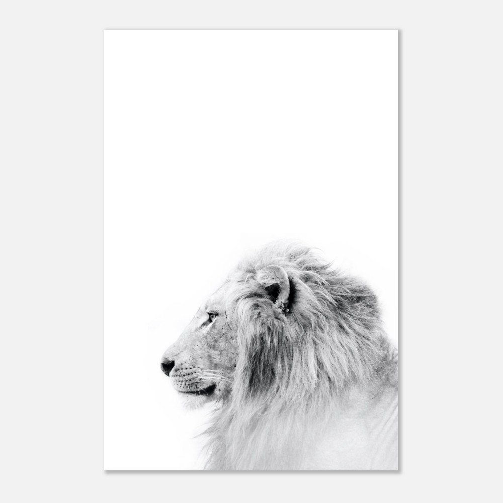 Lion Print Lion Mane Print Lion Wall Art Lion Photo King of the Jungle ...