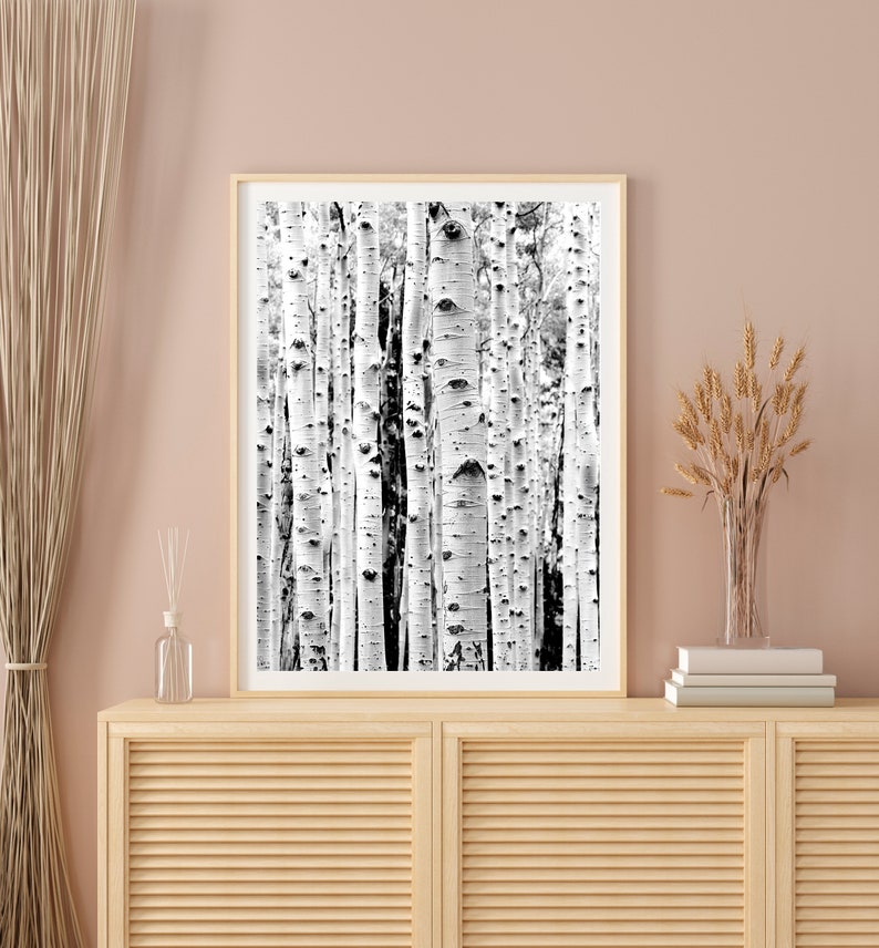 Birch Tree Poster, Tree Photo, Tree Wall Art, Forest Print, Digital ...