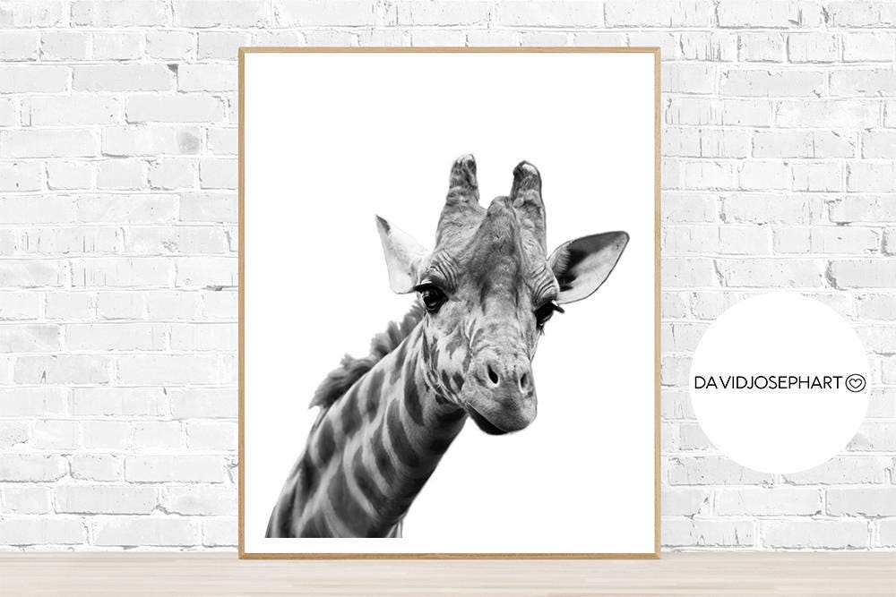 Giraffe Print, Giraffe Wall Art, Giraffe Poster, Animal Print, Black ...