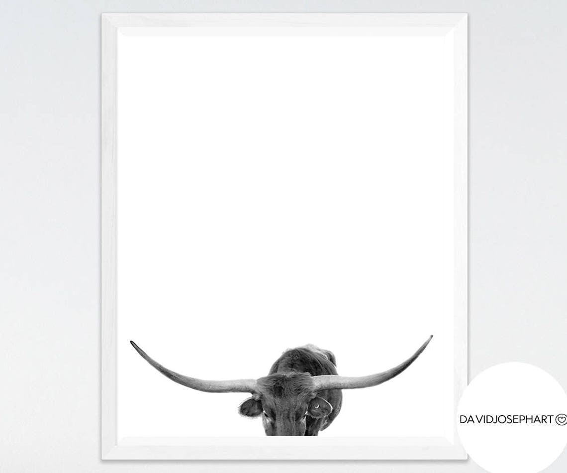 Longhorn Print Cow Print Texas Cow Print Animal Print - Etsy