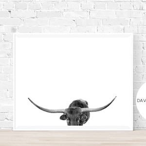 Longhorn Print, Cow Print, Texas Cow Print, Animal Print, Modern ...